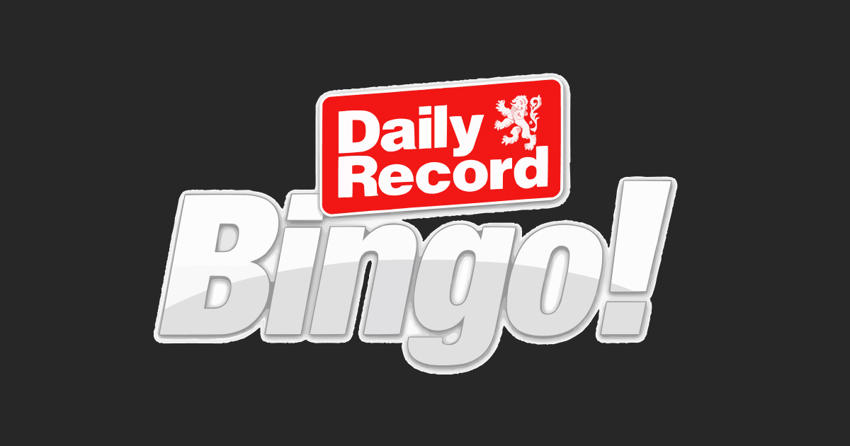 Daily Record Bingo Online UK Casino: Game Variety, Bonuses, Mobile Features